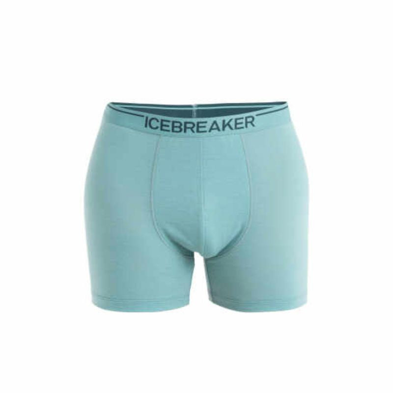 icebreaker Merino Undergarment Men's Anatomica Boxers - Cloud Ray Molt ...